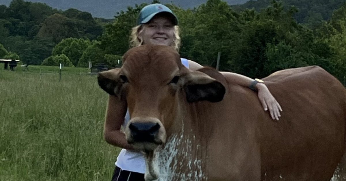 Hannah King - American Conservation Coalition
