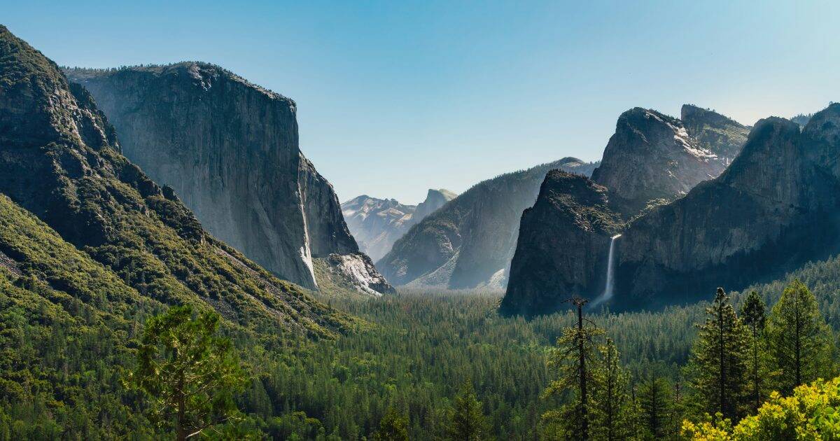 Tell Leadership: Commit to Active Forest Management - American ...